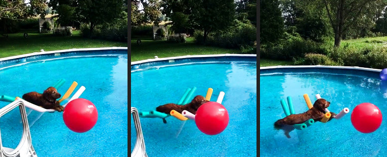 Gemütlich im Pool chillen - Lustige Videos auf Chilloutzone